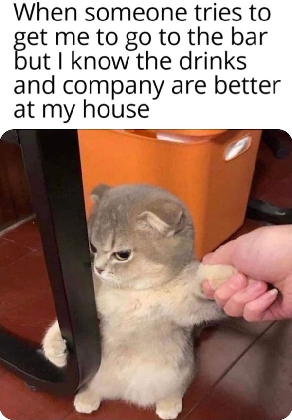 Too TRUE Memes are Stupidly Simple yet Not Wrong Photo Captions