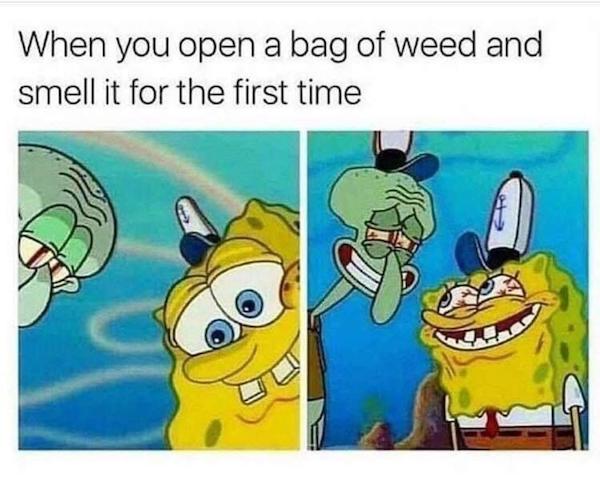 I was going to name this Stoner Memes post, but then I got high