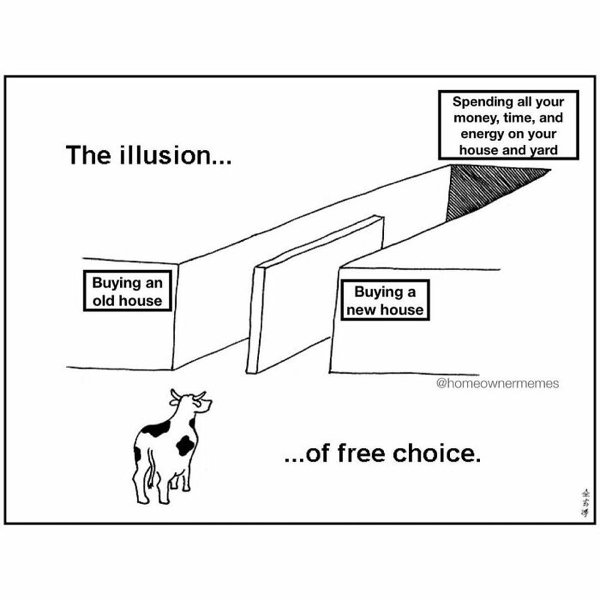 Homeowner jokes that you don't need approval from the HOA for