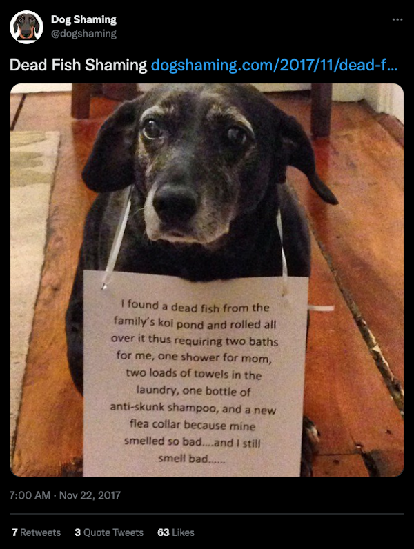 We don't like doing it, but let's shame some dogs