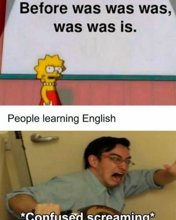 I've been told you might learn something from these educational memes