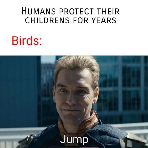 I've been told you might learn something from these educational memes