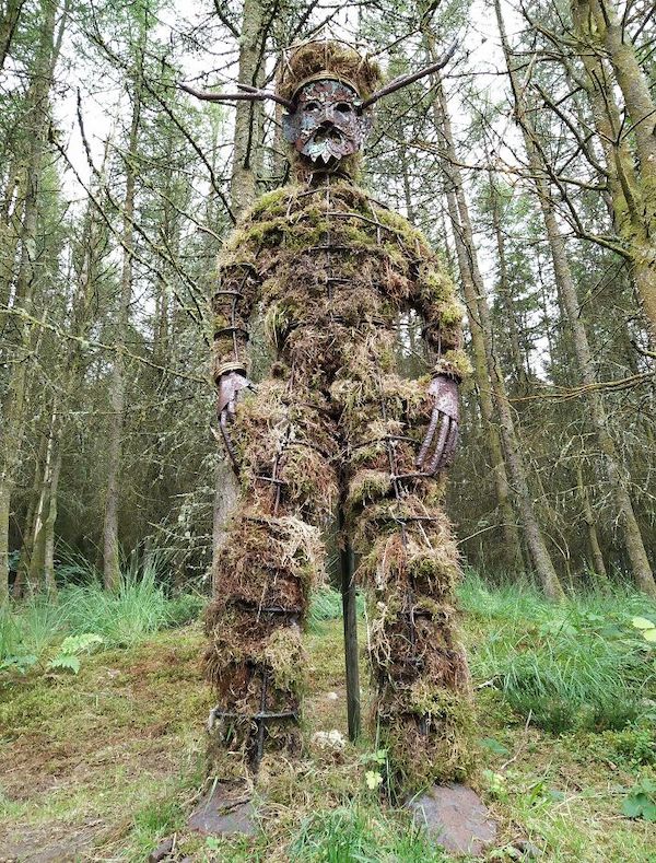 The forest is full of odd, awesome, and creepy things