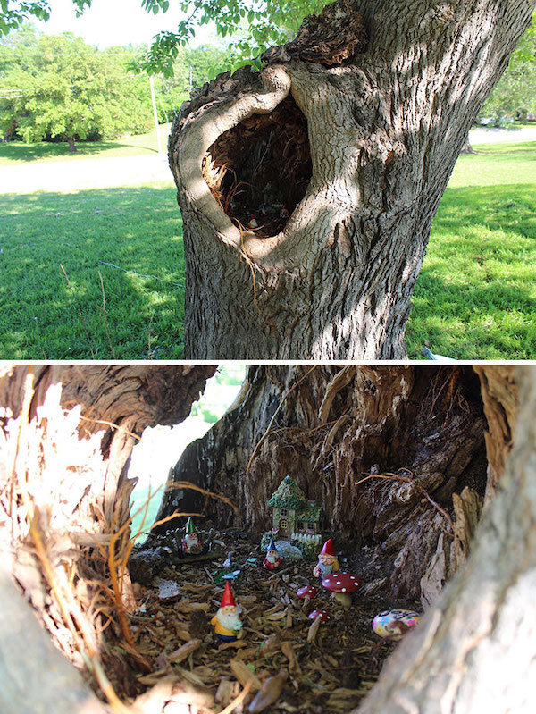 The forest is full of odd, awesome, and creepy things