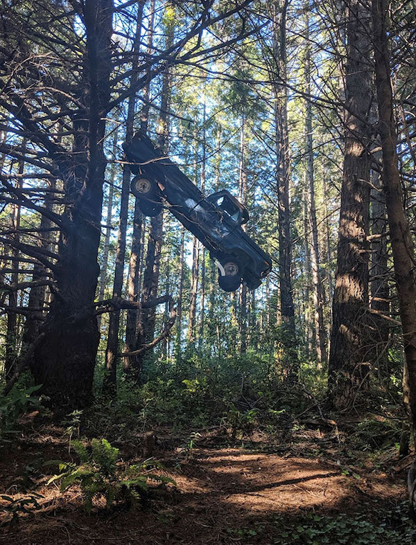 The forest is full of odd, awesome, and creepy things