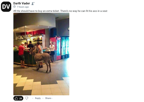 Hilarious commentary that will bring you levity and joy