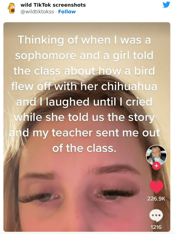 The most INSANE things posted on TikTok (30 Photos)