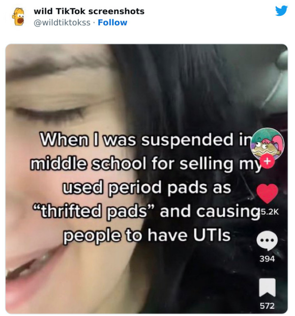 The most INSANE things posted on TikTok (30 Photos)