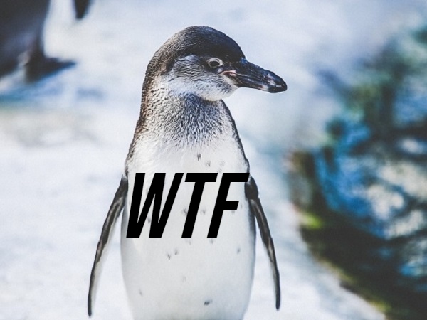 Shower Thoughts so deep they'll f*ck your water bill up