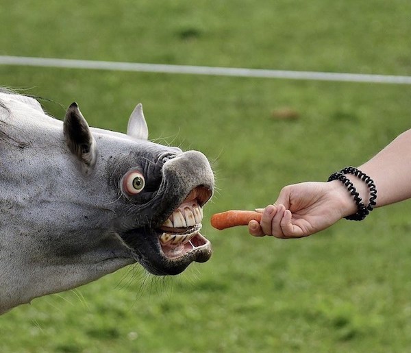 Photoshopped images that are so ridiculous they have us howling!