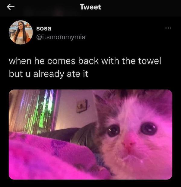 Enjoy some NSFW Memes, you deviant little sinners