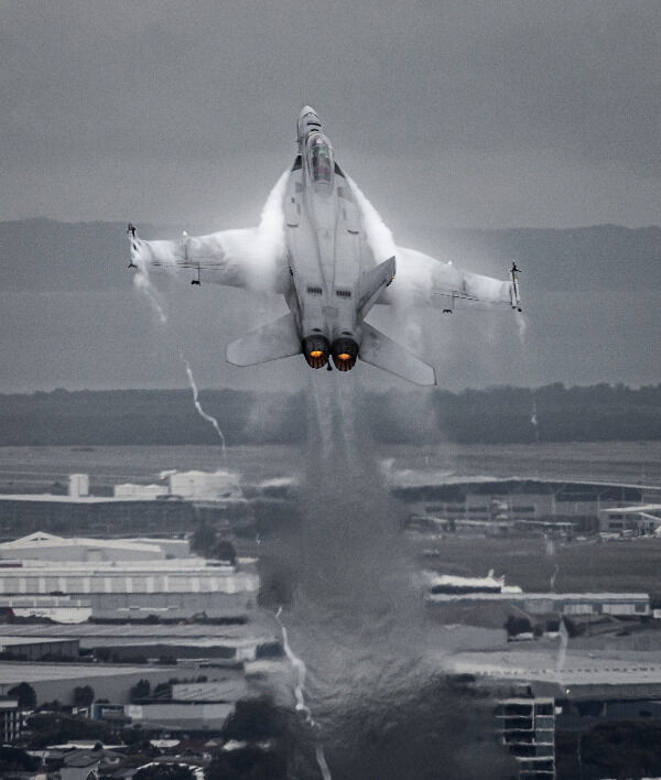 'Merica the land of the free, and also of the best memes.