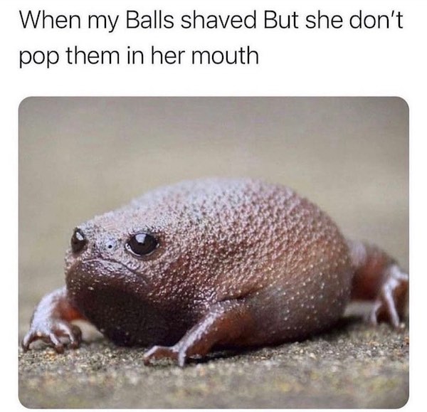 Are you a MAN? These MEMES are all yours