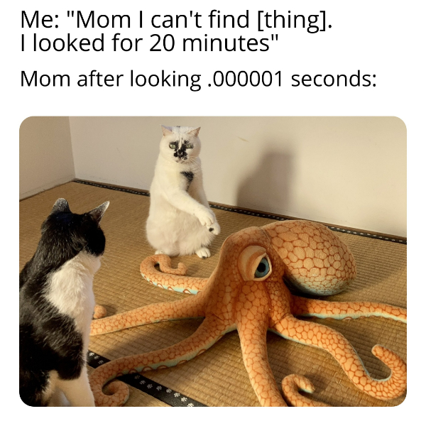 Dank Memes: Thank Me Later