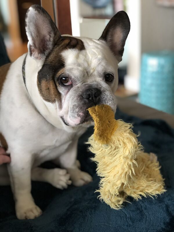 Just a Bunch of Good Boys