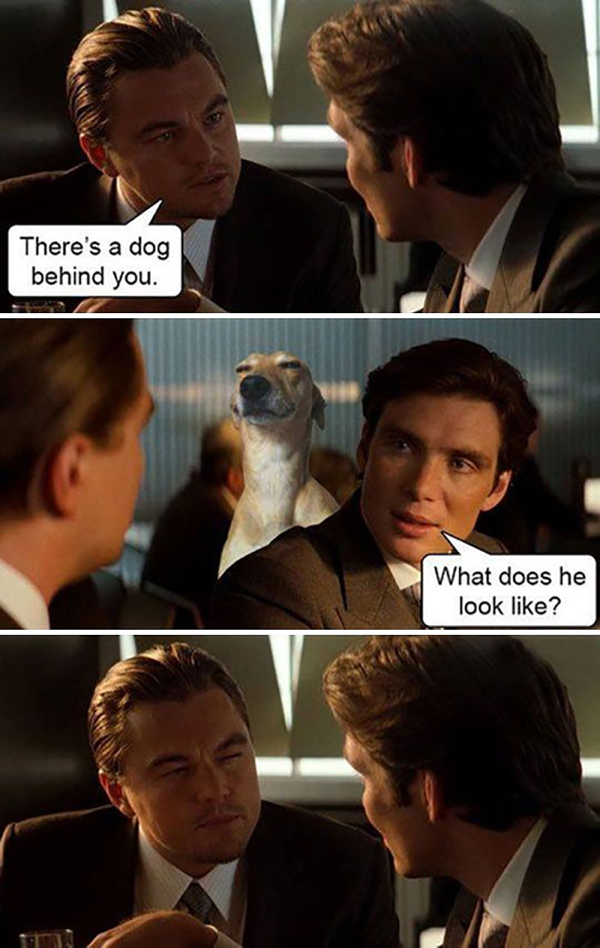 Be careful with these memes, they're antiques!