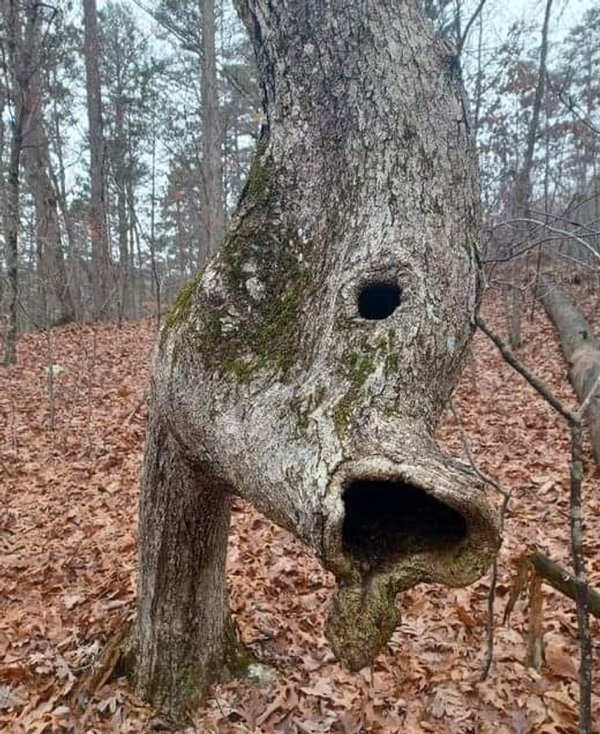 Weird natural wonders that have us all puzzled beyond words