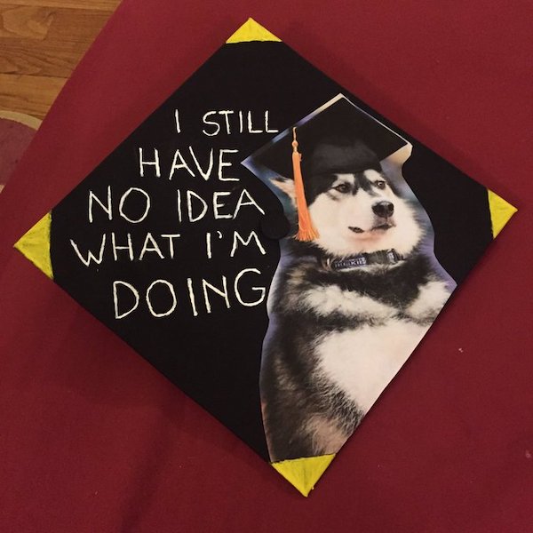 These creative graduation caps get an A+