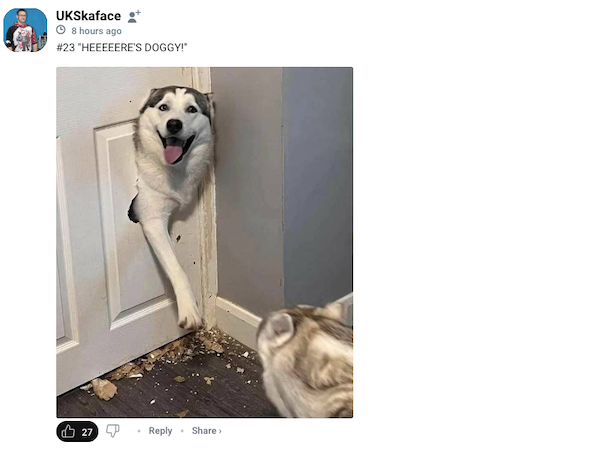 Top Comment glory via the minds of theCHIVE misfitis