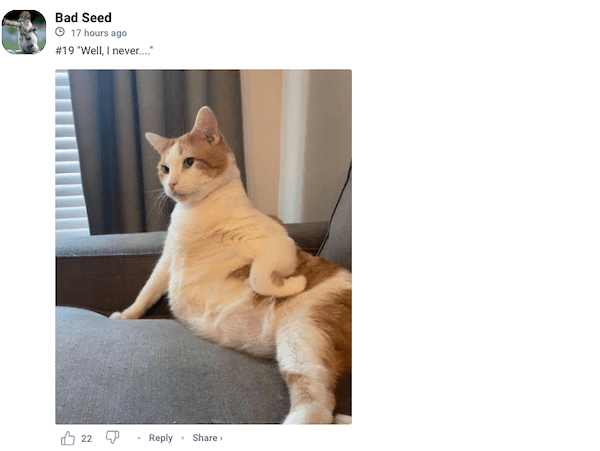 Top Comment glory via the minds of theCHIVE misfitis