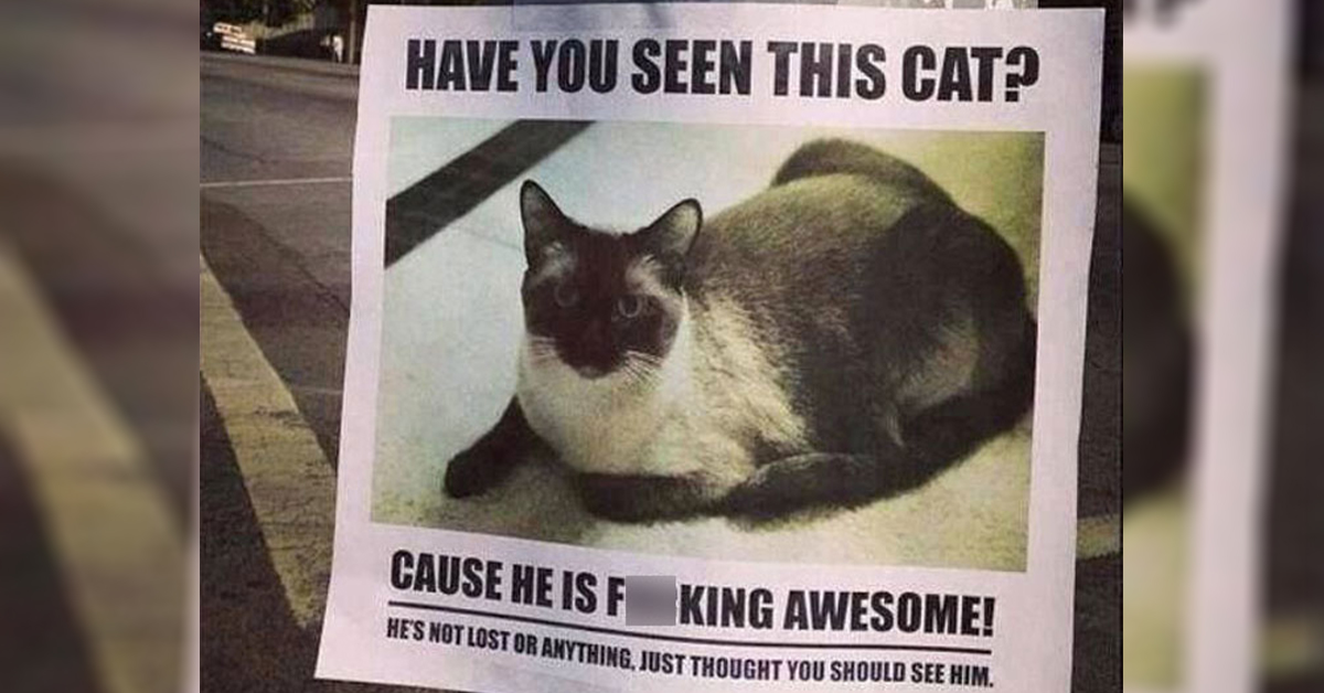 Be careful with these memes, they're antiques!