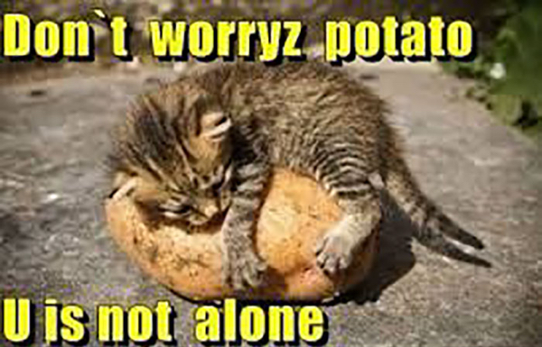 Be careful with these memes, they're antiques!