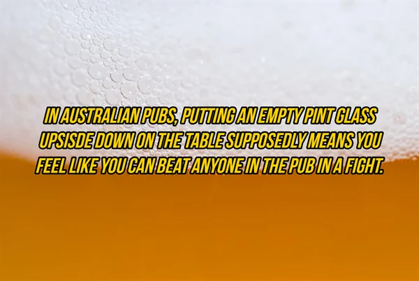 Drink up a Pint of Pub Facts