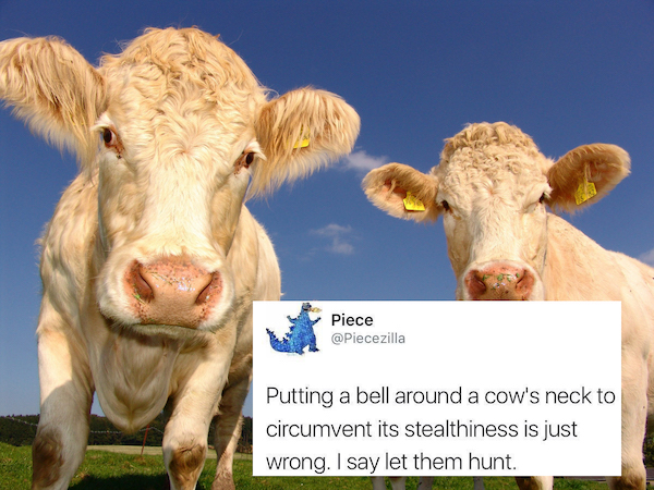 Amusing Tweets created by the minds of eccentric people!