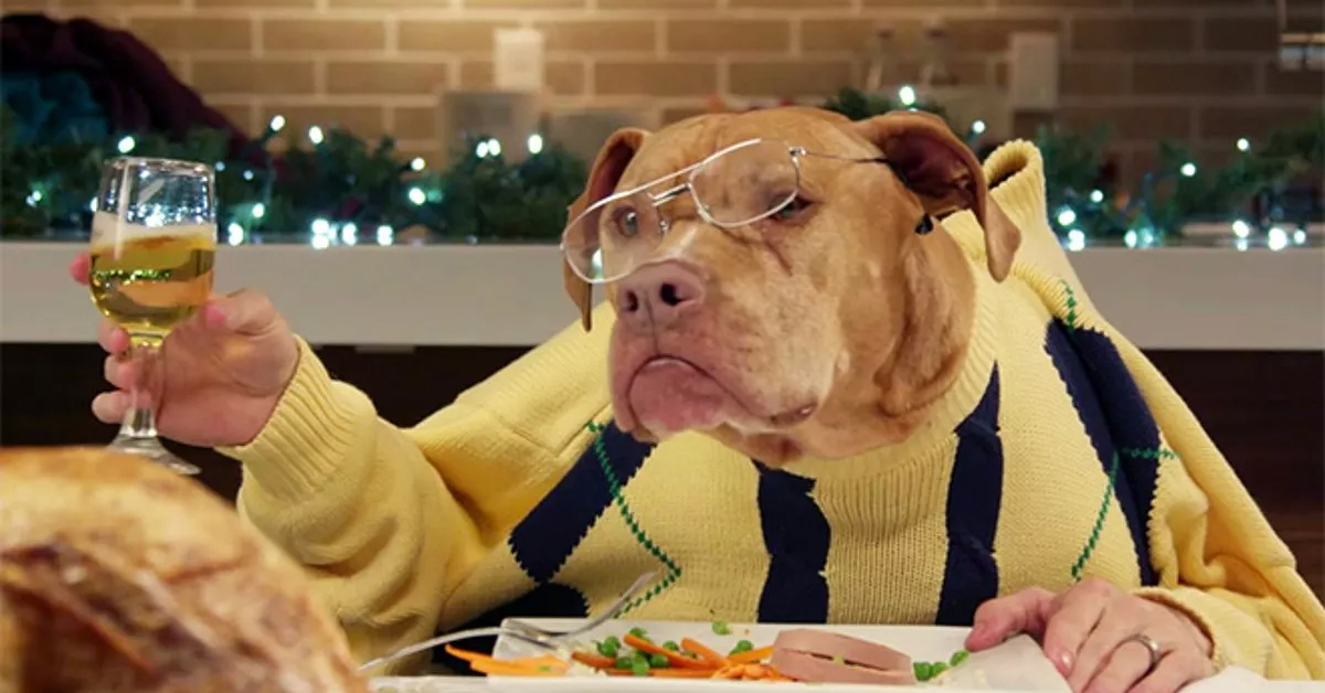 theCHIVE - Funny Pictures, Photos, Memes & Videos – theCHIVE.com