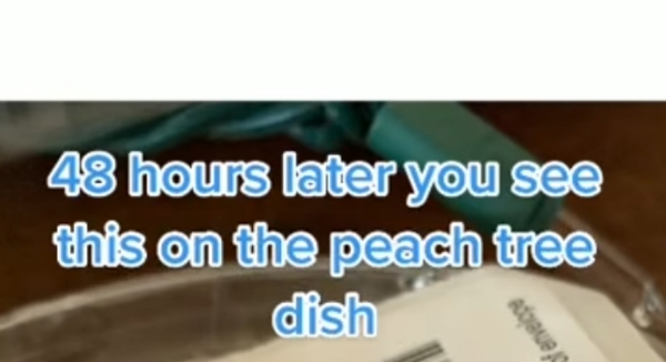 Right Idea, Wrong Word