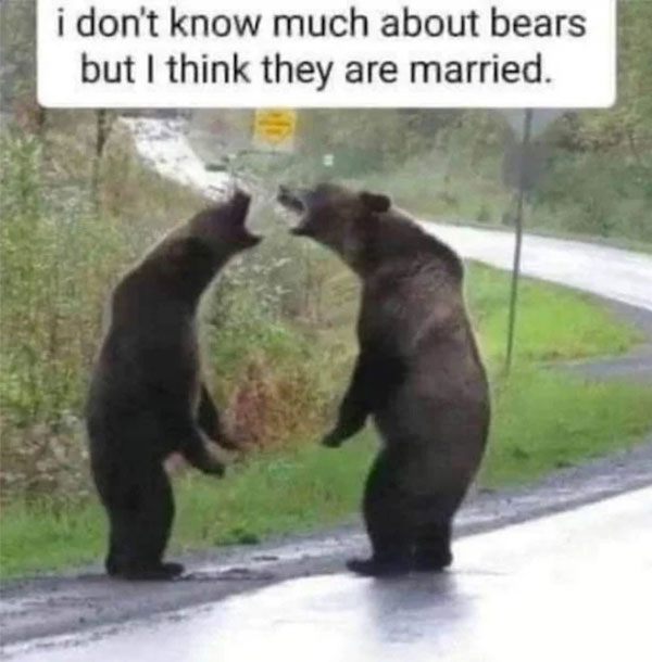 The most popular CHIVE posts of the week (16 Photos)