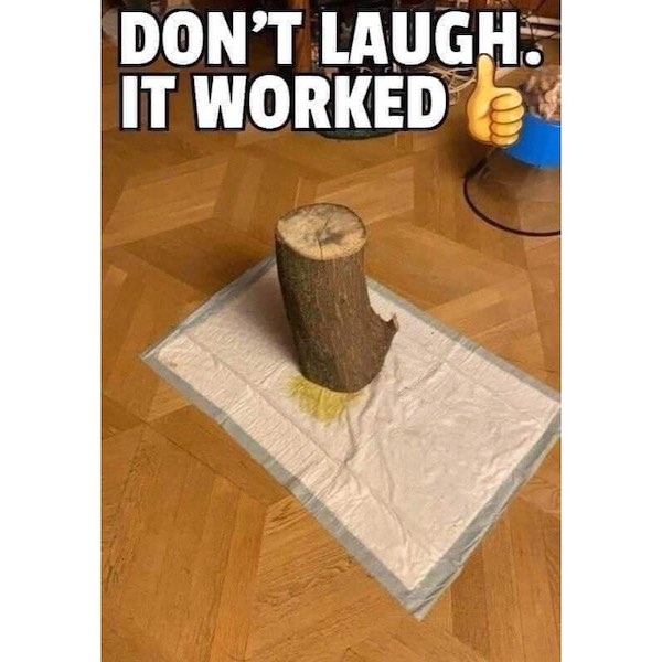 Man Memes: Just guys being dudes