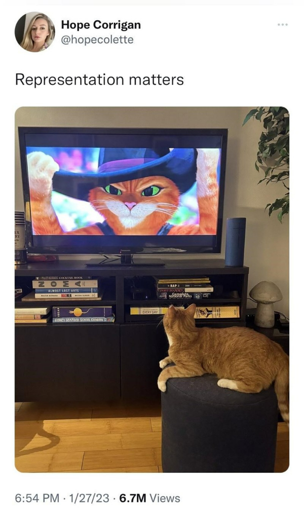 The Cats Have He High Ground This Saturday