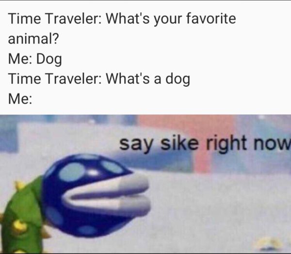 Dank Memes Keep Me Going