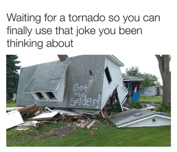 A Fresh Pile of Dank Memes