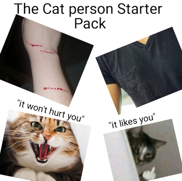Starter Packs are a great way to sum up life