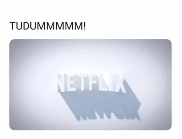 Are You Still Watching These Netflix Memes? (35 Photos)