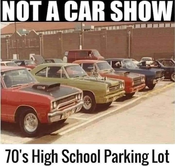 Wis-DUMB Memes for Stupid People Thoughts Photo Captions Bad Ideas