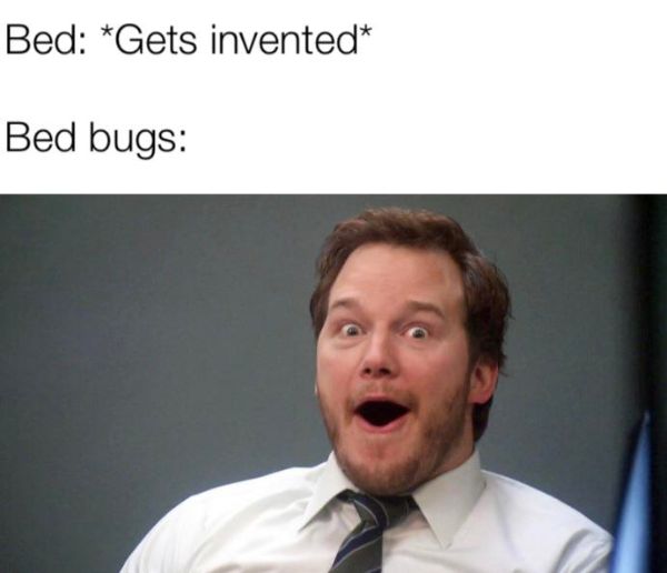 Dank Memes Have Arrived in Bulk