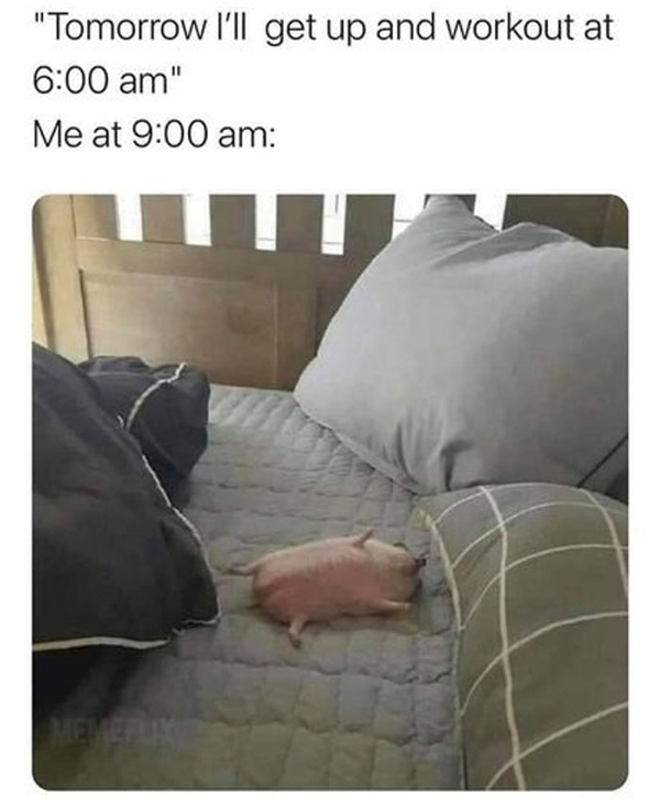 Late-night jokes to laugh at while you try to fall asleep, yet again