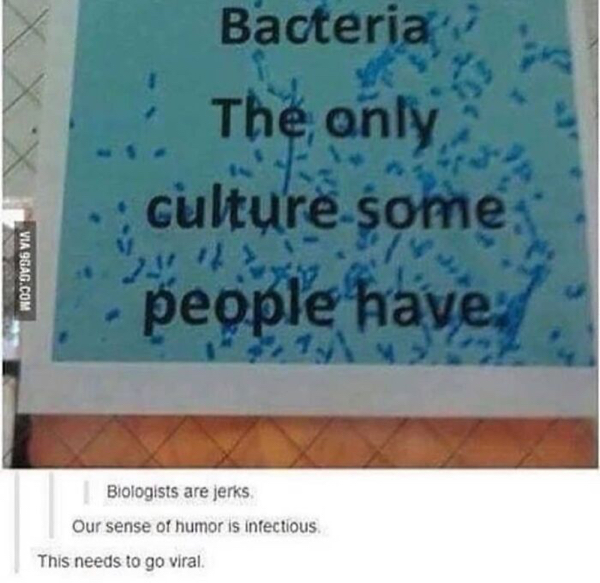 Science memes that will increase your capacity for laughter