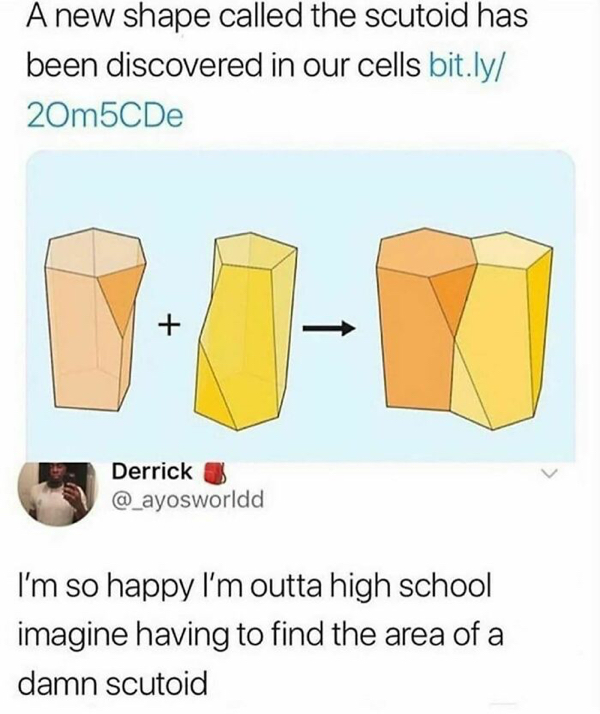 Science memes that will increase your capacity for laughter