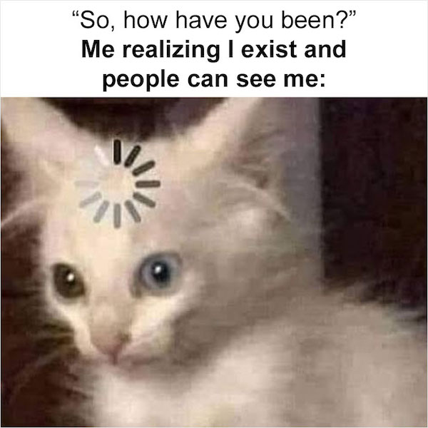 How People See Me Meme