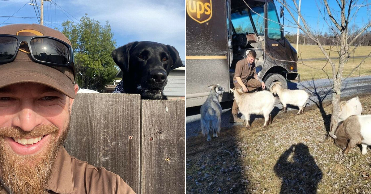 UPS drivers whose drives are made perfect by some furry friends