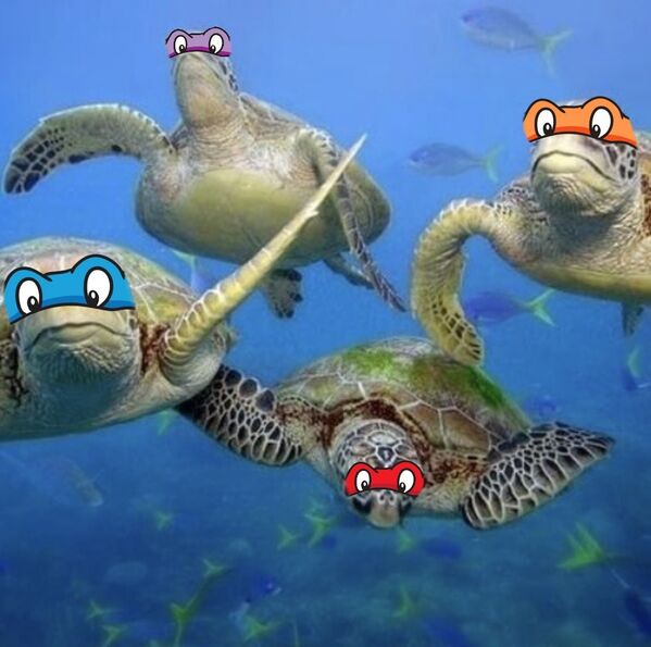 The World Needs More Wholesome in It