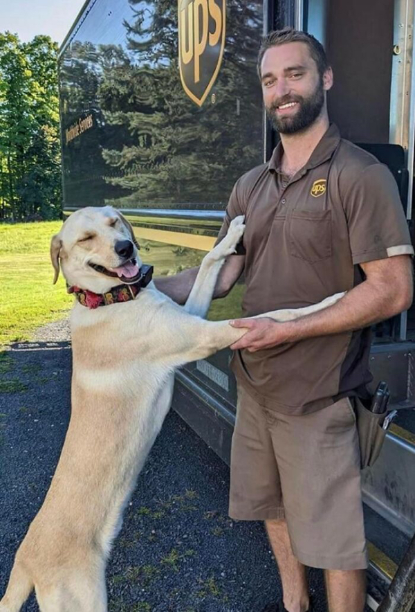 UPS drivers whose drives are made perfect by some furry friends