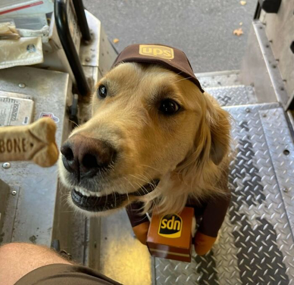 UPS drivers whose drives are made perfect by some furry friends