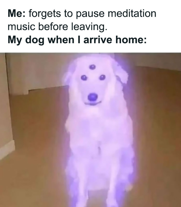 Cute Pick Me Meme