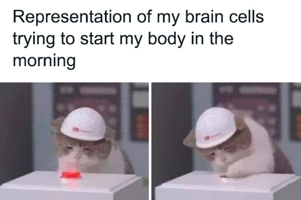 Late-night jokes to laugh at while you try to fall asleep, yet again