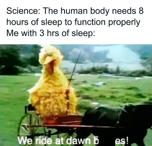 Late-night jokes to laugh at while you try to fall asleep, yet again